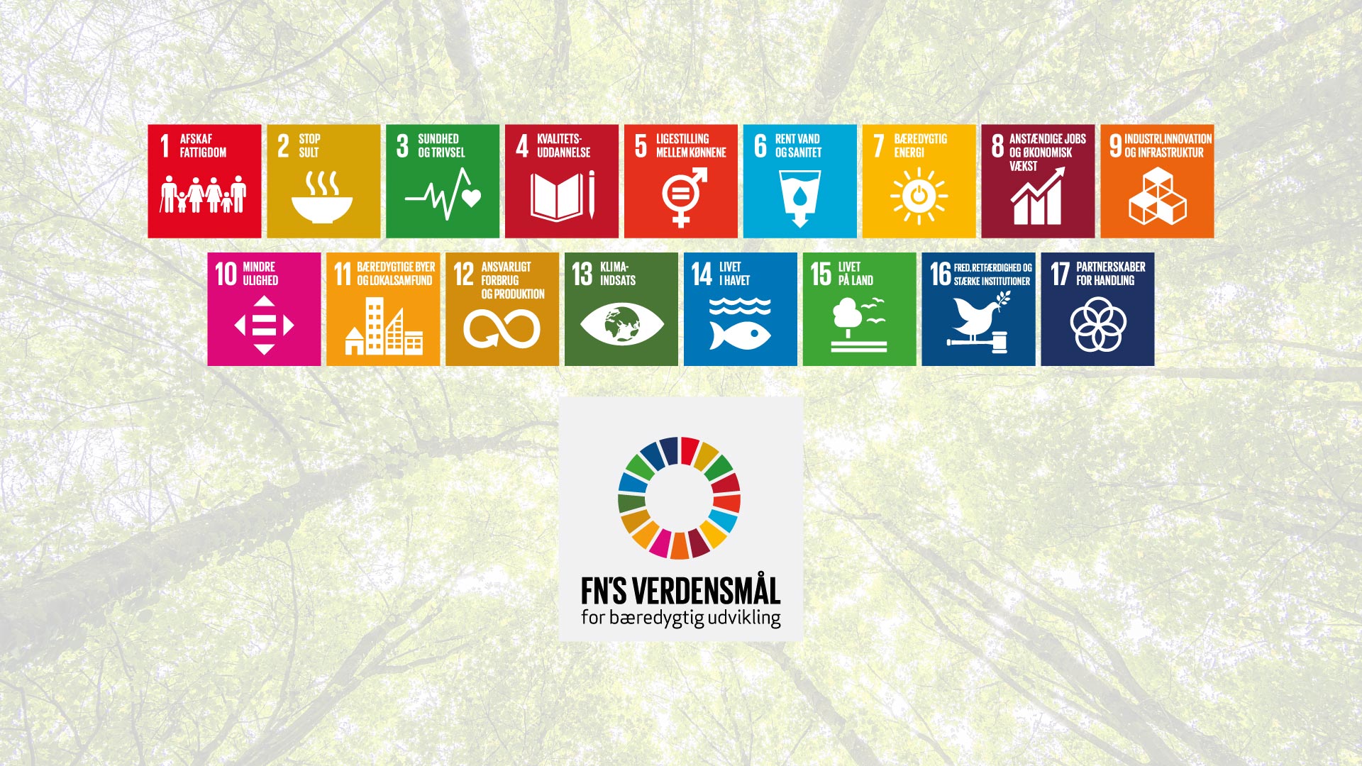 Sådan kan du selv arbejde for opnåelse af FN's verdensmål - RePot